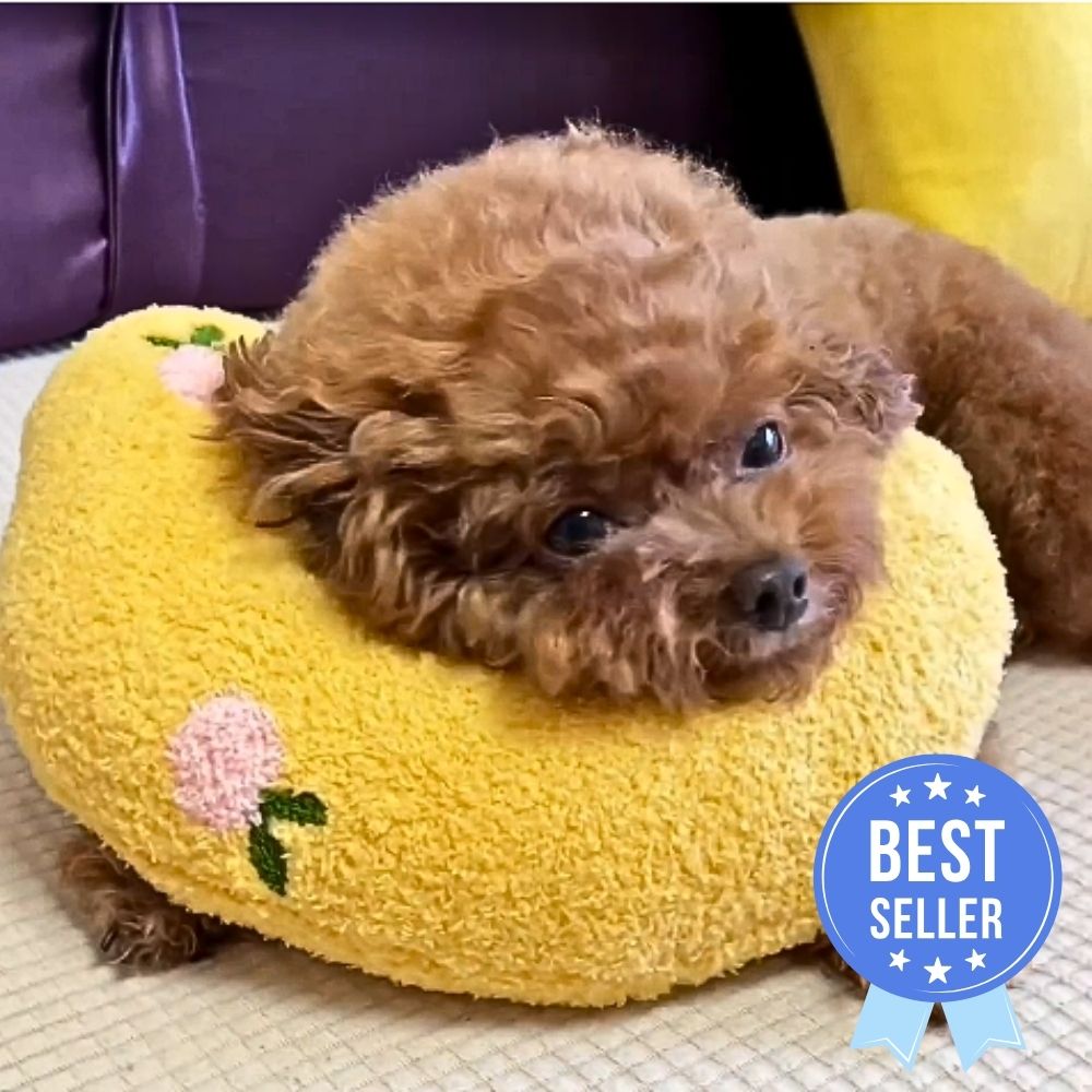 Cuddle Cushion™ Calming Dog Pillow – SohoBloo Shop