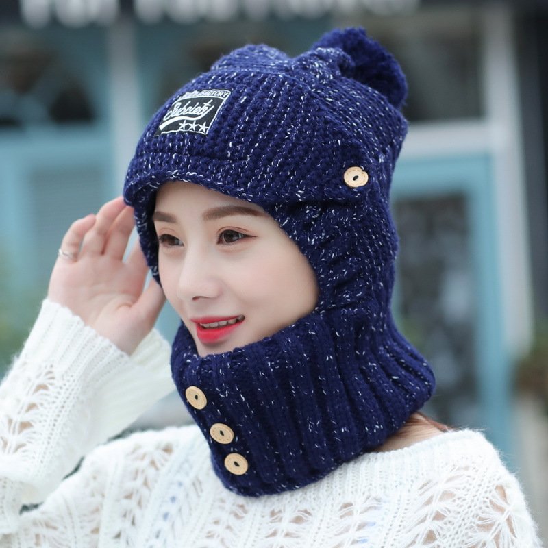 WinterGuard Beanie | Full Face and Neck Protection for Winter Adventur ...