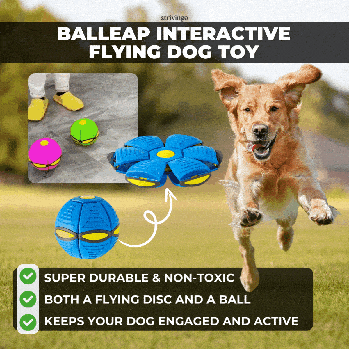 Balleap Interactive Flying Dog Toy – SohoBloo Shop