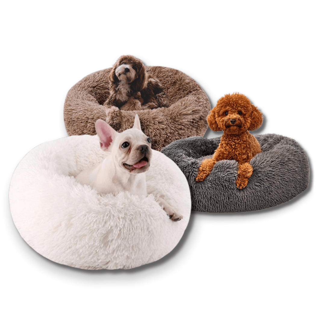 Calming Dog Bed - Removable Cover – SohoBloo Shop